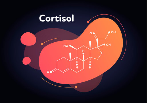 Cortisol: KS4 article | Discover