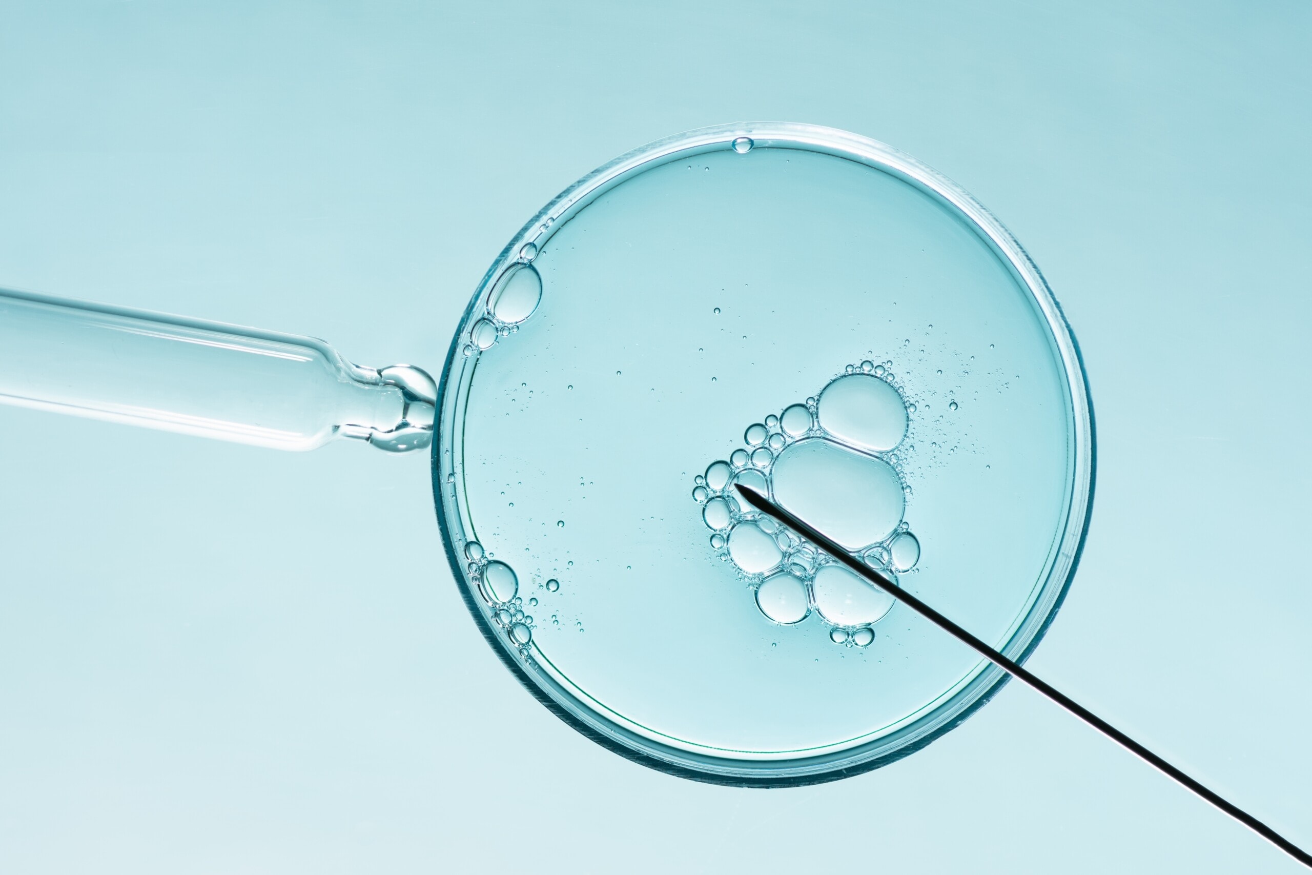 In Vitro Fertilisation (IVF): KS4 article | Discover
